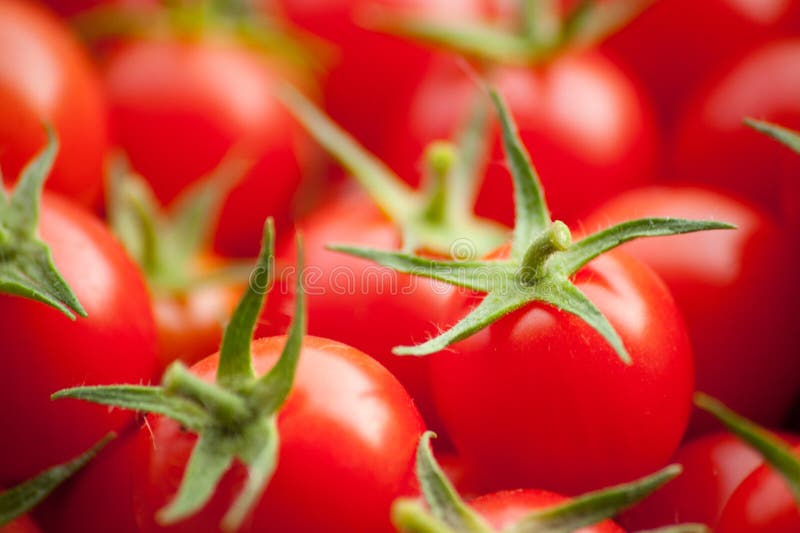 Gruppe Der Roten Kirschtomate Stockfoto - Bild von riped, konzept: 19078886