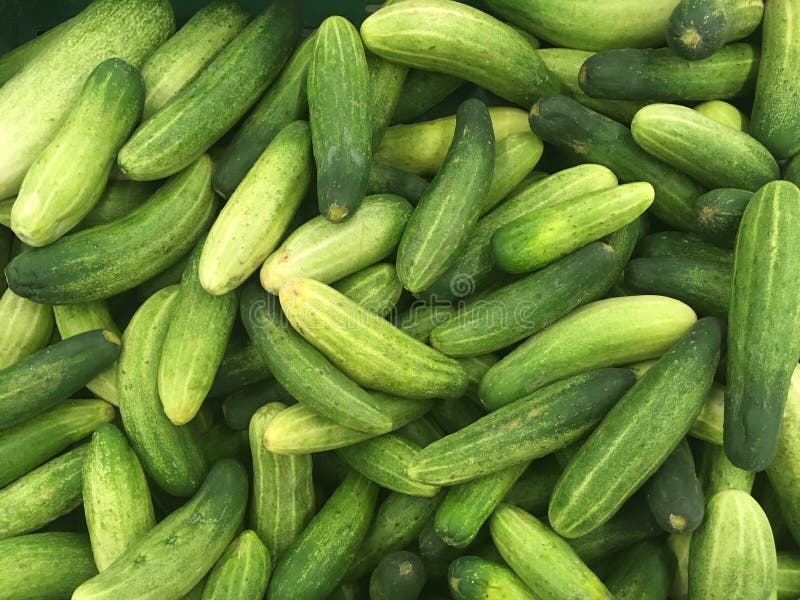 Gruppen der Gurke im Markt stockbild. Bild von gesund - 127286559