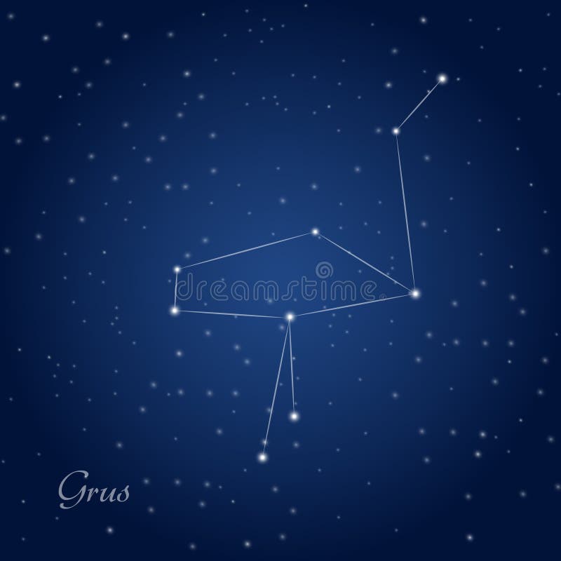 Grus, crane constellation stock vector. Illustration of sparkle - 83618370