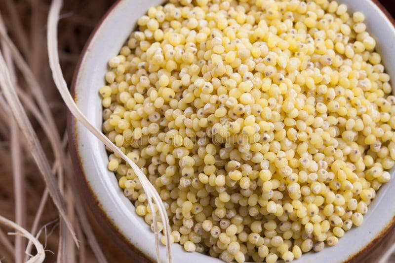 Gryn fotografering för bildbyråer. Bild av bordsservis - 33588117