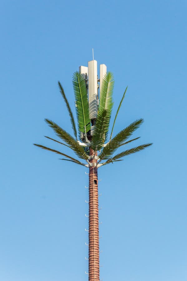Cell Tower Palm Tree stock photo. Image of tower, cellular - 22594524
