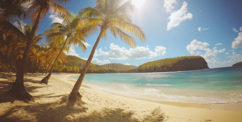 Guadalupe Island, a Tropical Paradise - Guadalupe Island - Caribbean ...