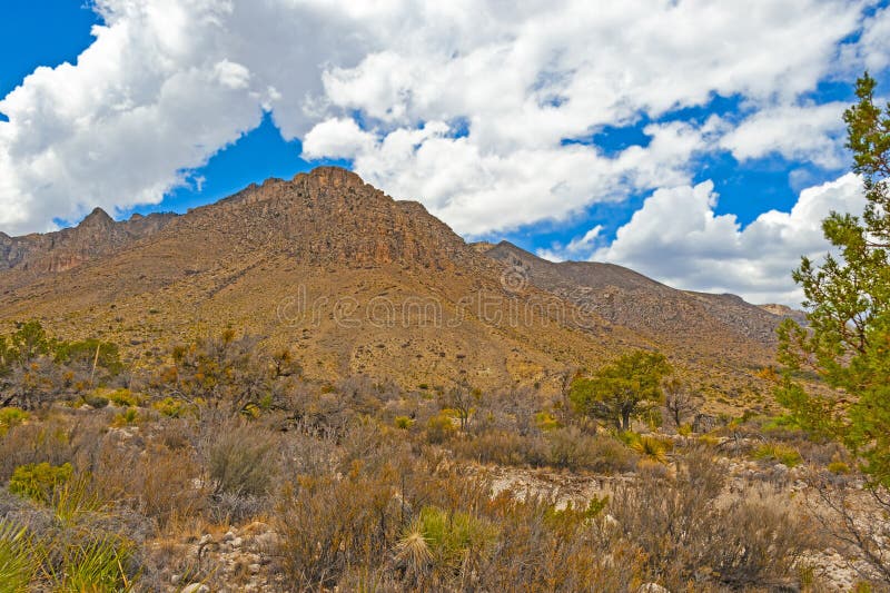 Guadalupe Mountains stock image. Image of landscape - 352207531