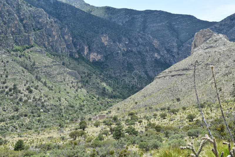 Guadalupe Mountains Tejas Trail Stock Photo - Image of summer, hiking ...