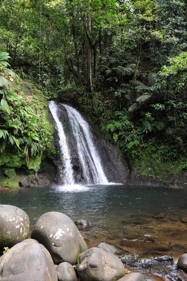 Dominica landscape stock photo. Image of vacation, colorful - 8217558