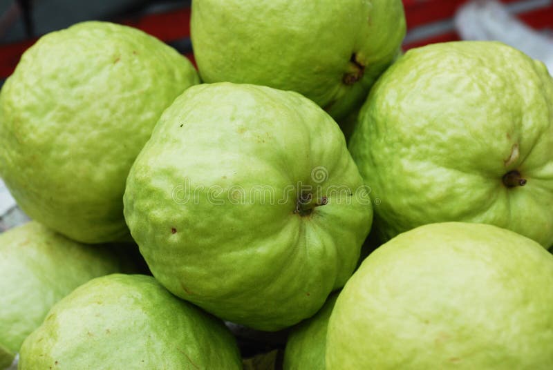 Guaiava immagine stock. Immagine di fresco, verde, alimento - 13169275