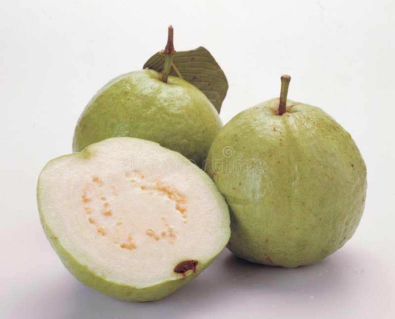 Guaiava immagine stock. Immagine di spremuta, sfondo - 25285553