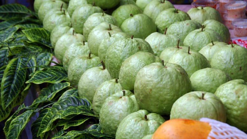 Guaiava immagine stock. Immagine di verde, nave, posto - 49939871
