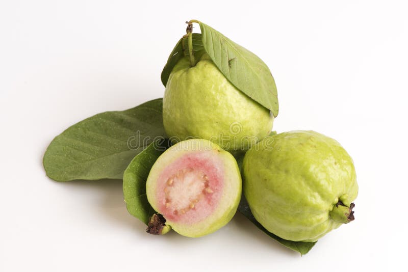 Psidium Guajava Della Guaiava Fotografia Stock - Immagine di fresco ...