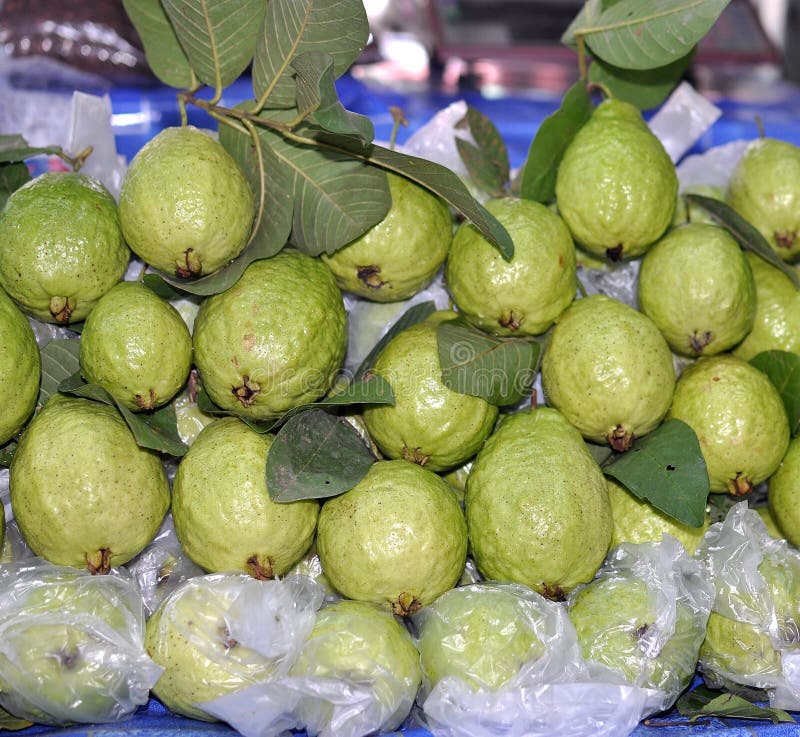 Guaiave fresche fotografia stock. Immagine di locale - 44353146