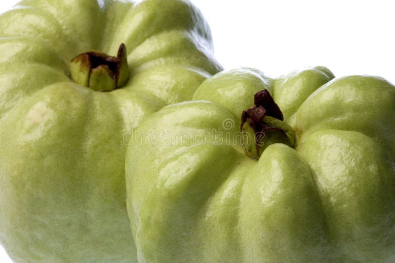 Guaiave isolate fotografia stock. Immagine di guaiave - 7130584