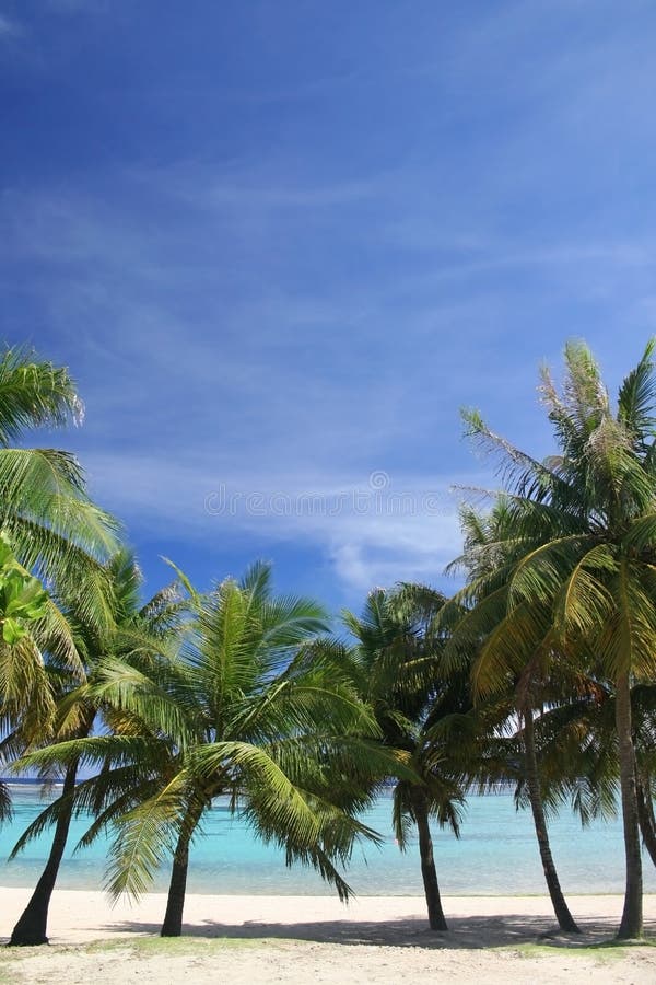Guam background stock image. Image of tropics, sand, swim - 12610859