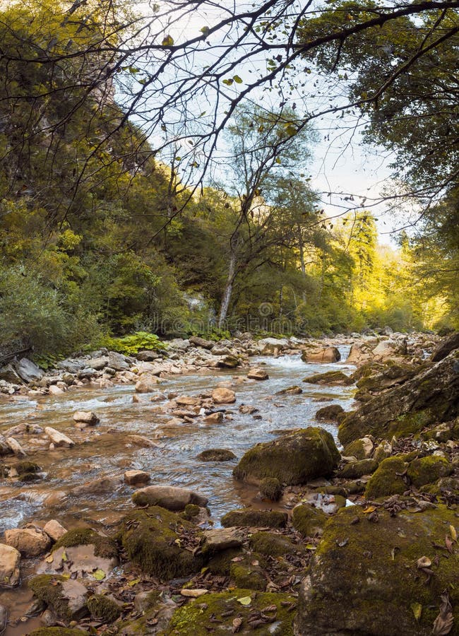 Guam gorge. stock photo. Image of scenic, fresh, river - 61546186