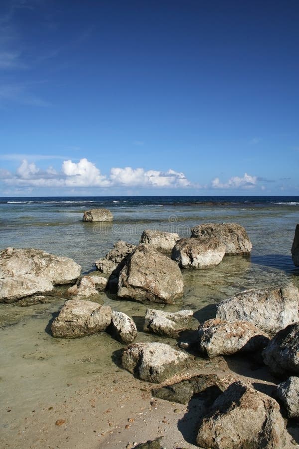 Guam beach seashell stock image. Image of shell, object - 12610883