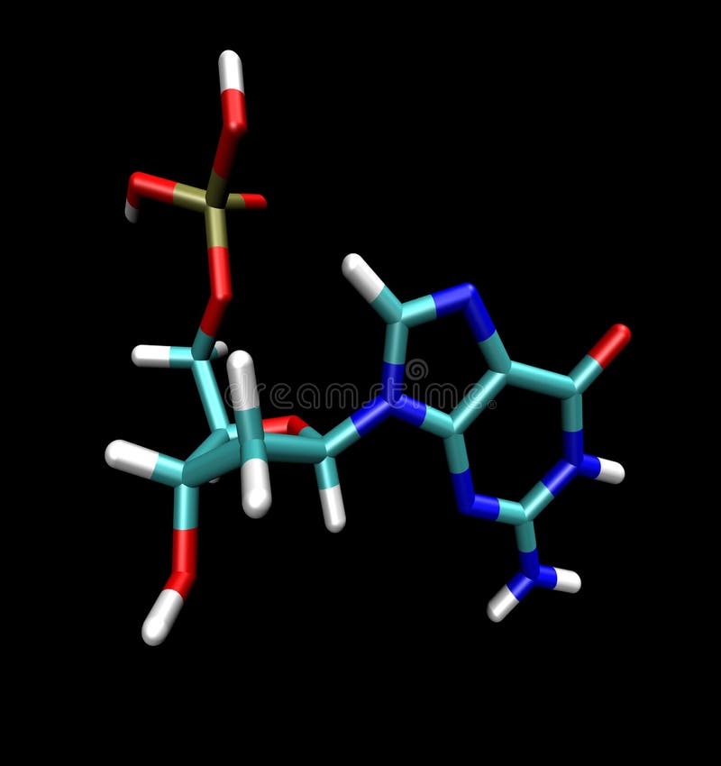 Guanin stock abbildung. Illustration von chemikalie, wissenschaft - 3683071