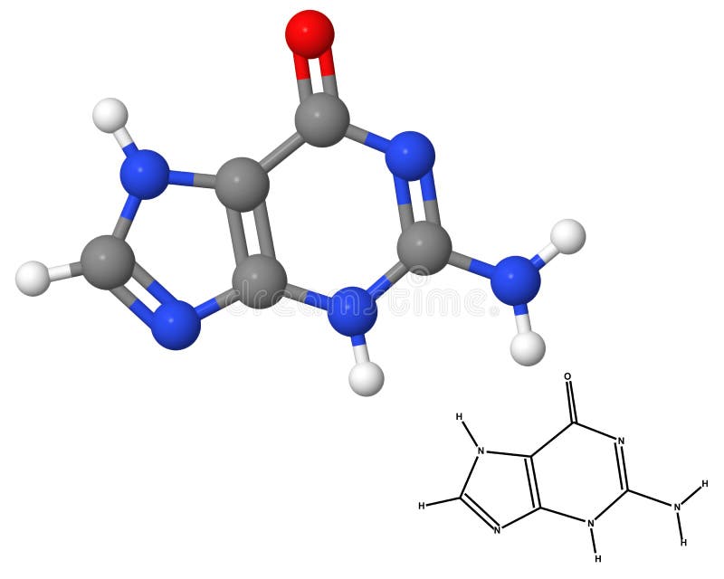 Guanine Molecule with Chemical Formula Stock Illustration ...