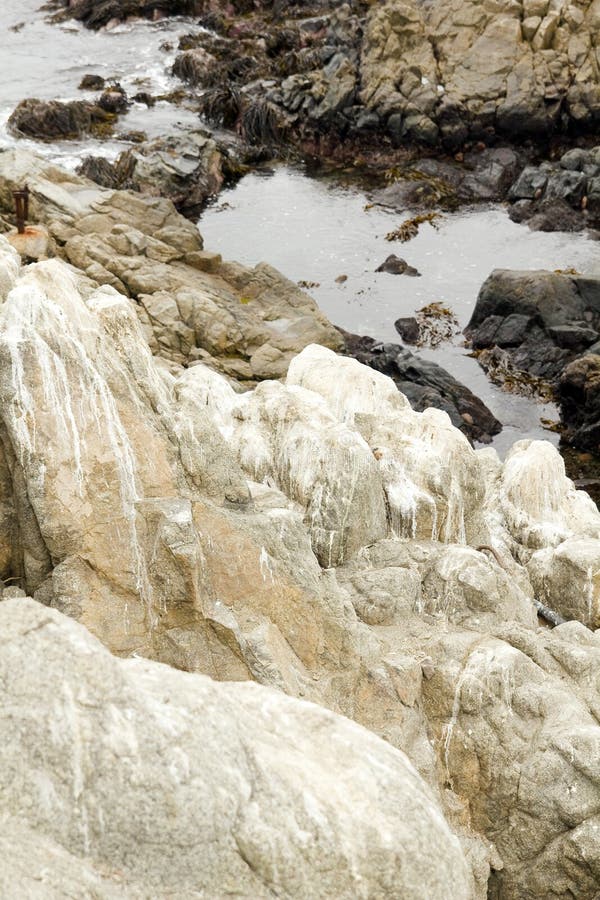 Guano stock photo. Image of island, coasts, atacama, ocean - 29458968