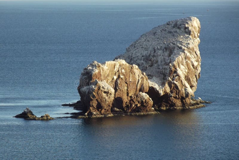 Guano island stock photo. Image of time, looks, full - 198273460