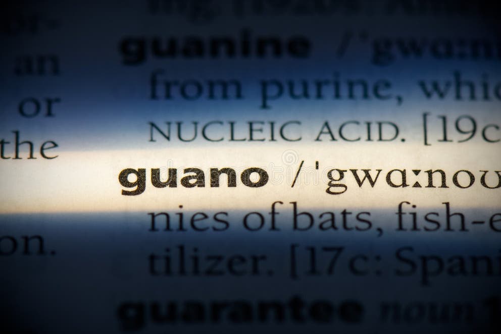 Guano stock image. Image of learn, highlighted, detail - 161576521