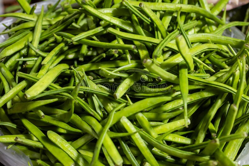 Guar or Cluster Bean at Vegetable Store for Sale at Evening Stock Image ...