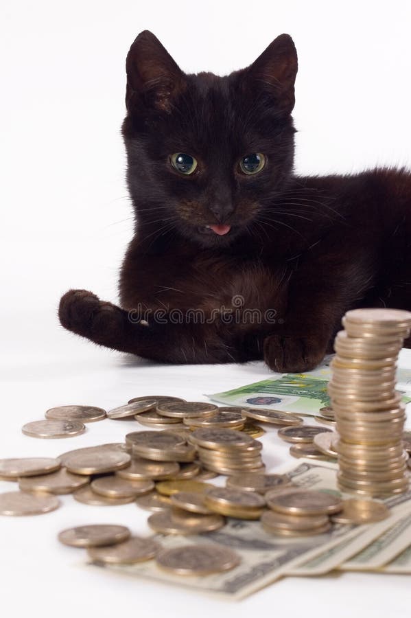 Guard stock image. Image of closeup, cash, business, money - 2105303