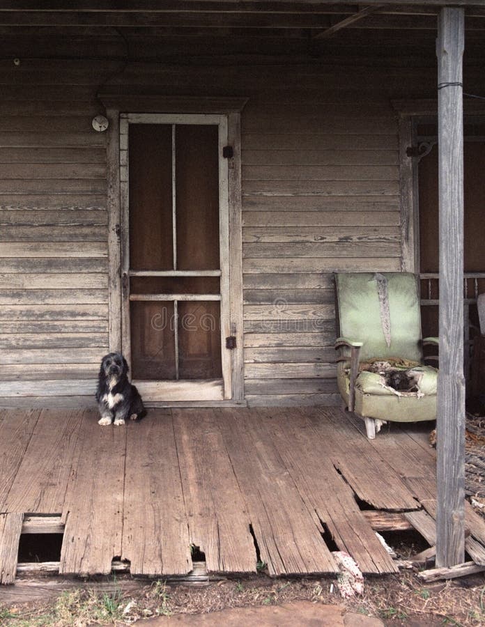 Guard Dog on Watch stock photo. Image of home, greets - 1815198