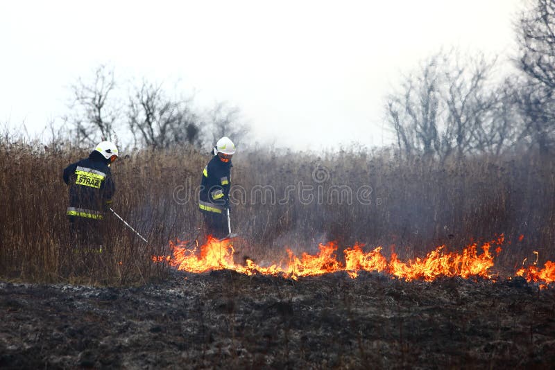 Guard during Fire Fighting on Dry Meadows. Stock Photo - Image of ...