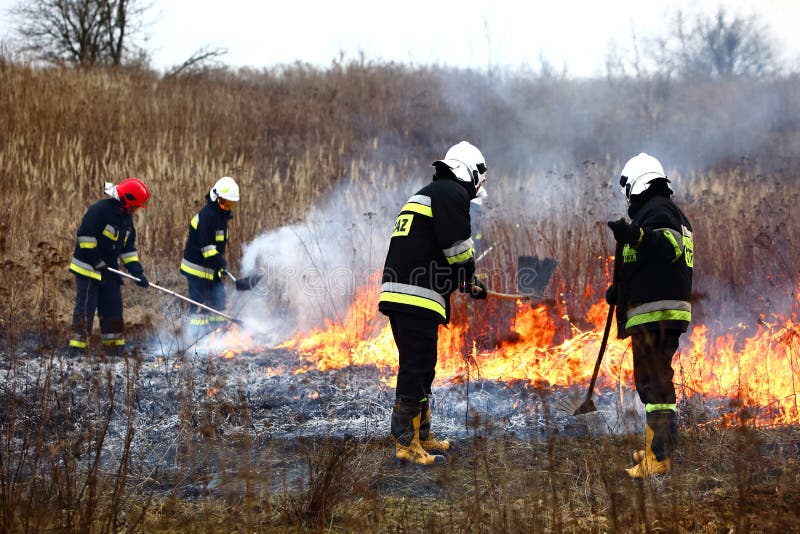 Guard during Fire Fighting on Dry Meadows. Stock Photo - Image of ...