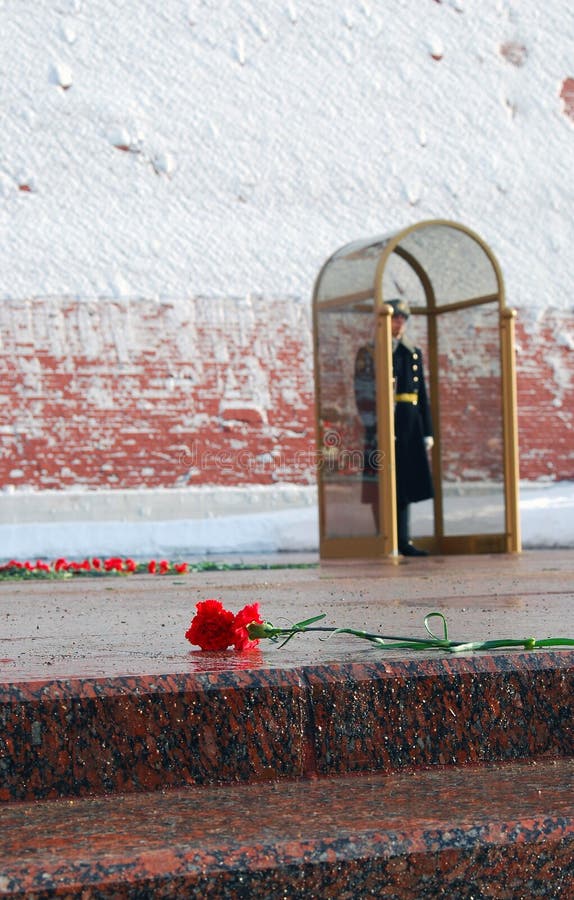 Guard of Honour. Red Carnation Flower. Editorial Photo - Image of ...