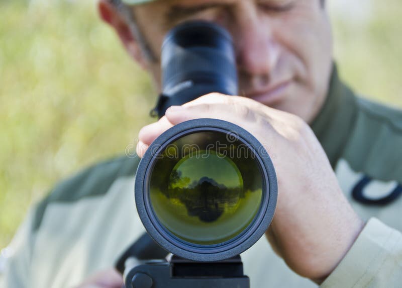 Guard stock image. Image of nature, male, watching, forest - 31623619