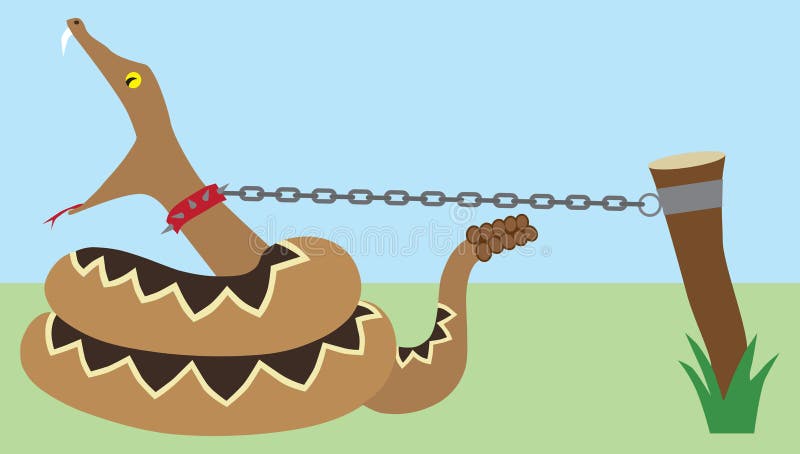 Guard Snake stock vector. Illustration of dangerous - 236467006