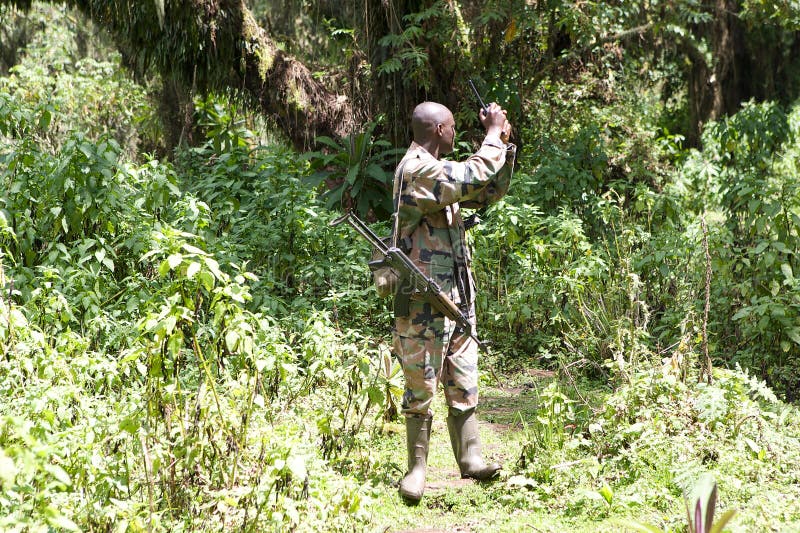 Guardabosques De Parque En El Parque Nacional De Los Volcanes ...