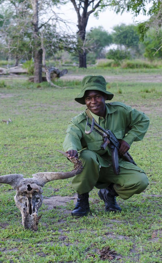 Ranger Selous Tanzania foto de archivo editorial. Imagen de uniforme ...
