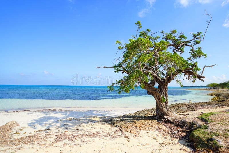 Guardalavaca Beach Cuba stock photo. Image of guardalavaca - 84909850