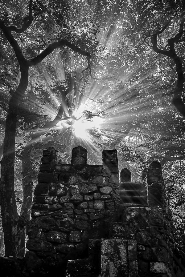 Guardian castle stock photo. Image of guardian, castle - 96263816