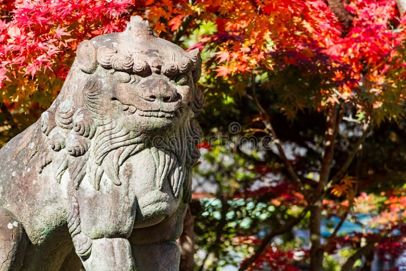 Japanese Guardian Lion Statue Stock Image - Image of architecture ...
