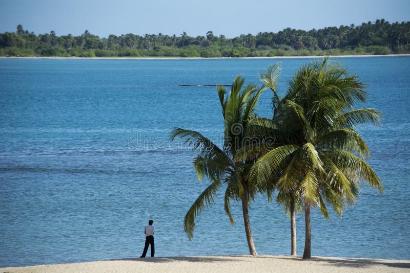Guarding the Sea stock image. Image of sunset, lake, beautiful - 73885395