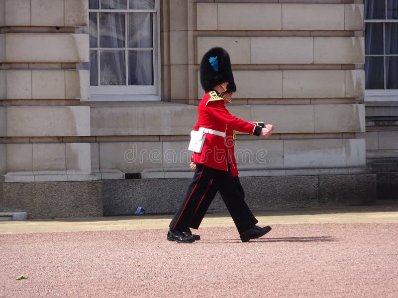 Guardsman editorial image. Image of buckingham, guardsman - 121784475