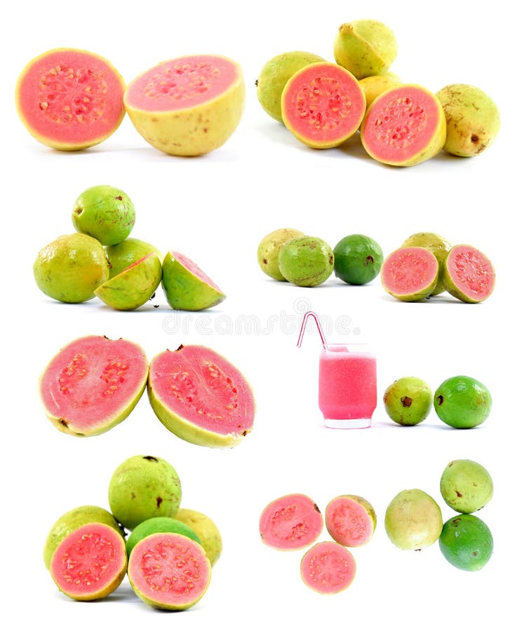 Guava stock photo. Image of white, sweet, nature, green - 5403088