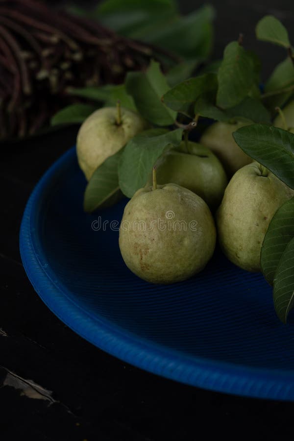 Guava on Blue Plate in Vertical Framing Stock Image - Image of leaves ...