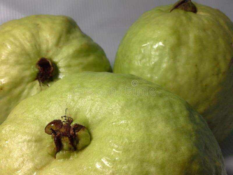 Guava stock image. Image of fresh, healthy, drop, fruit - 81846535