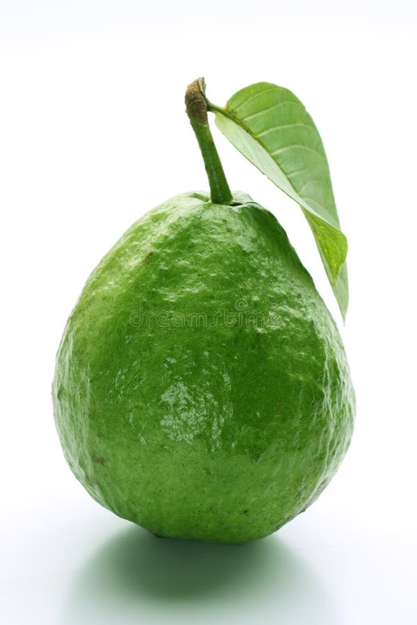 Guava fruit stock image. Image of food, refresh, healthy - 27881139