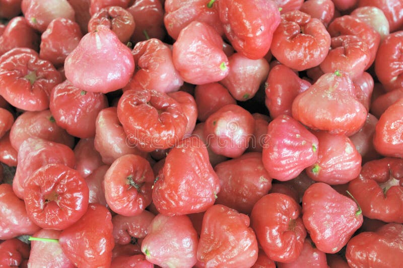 Guava Fruit at an Asian Market Stock Image - Image of indonesia, market ...
