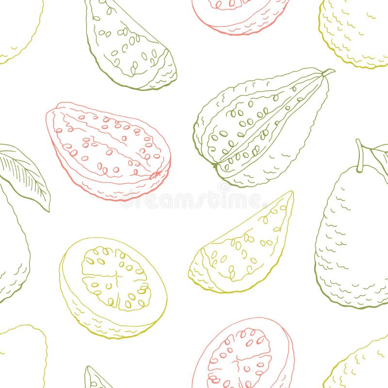 Guava Fruit Graphic Color Seamless Pattern Sketch Background ...