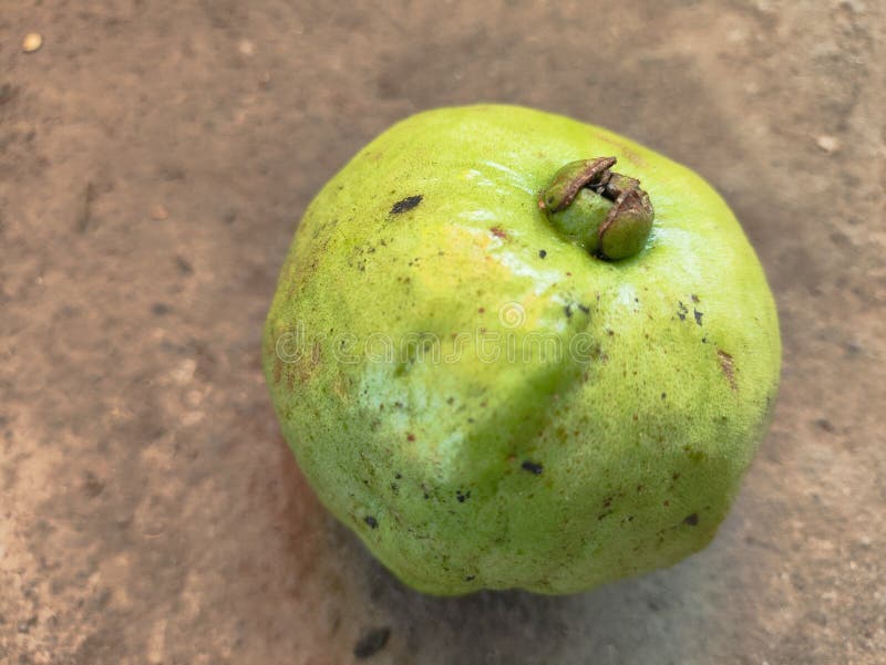 Guava is a Fruit that is High in Antioxidants, Which are Good for the ...