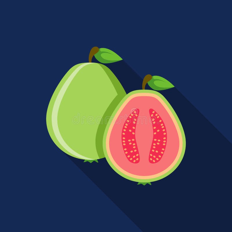 Guava Fruit Icon Cartoon Vector on Blue Background Stock Vector ...