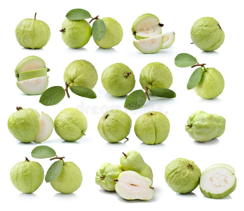 Guava Fruit Seeds that are in Spring, Stock Image - Image of shrub ...