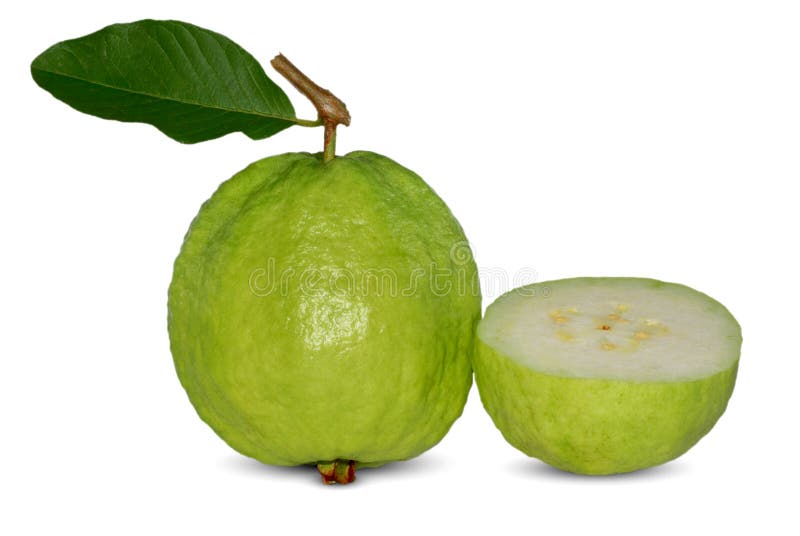 Fresh Guava Fruit Isolated on White Background Stock Image - Image of ...