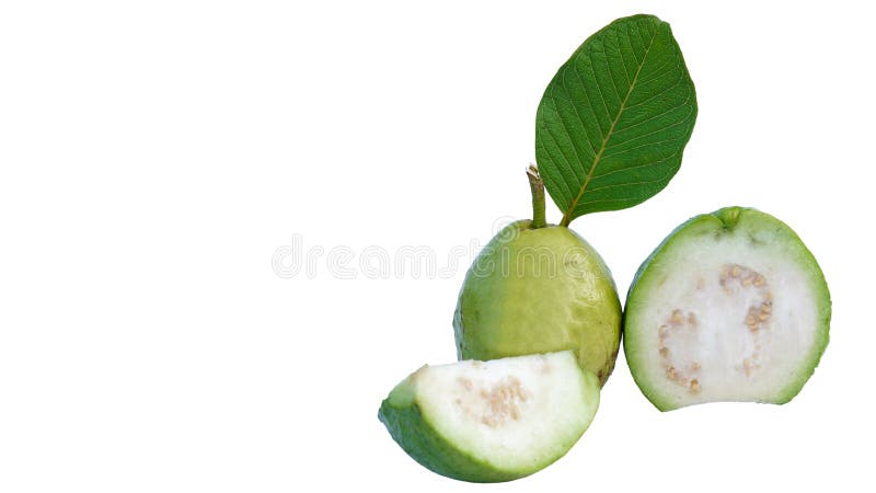 Amrudh Fruits Stock Photos - Free & Royalty-Free Stock Photos from ...