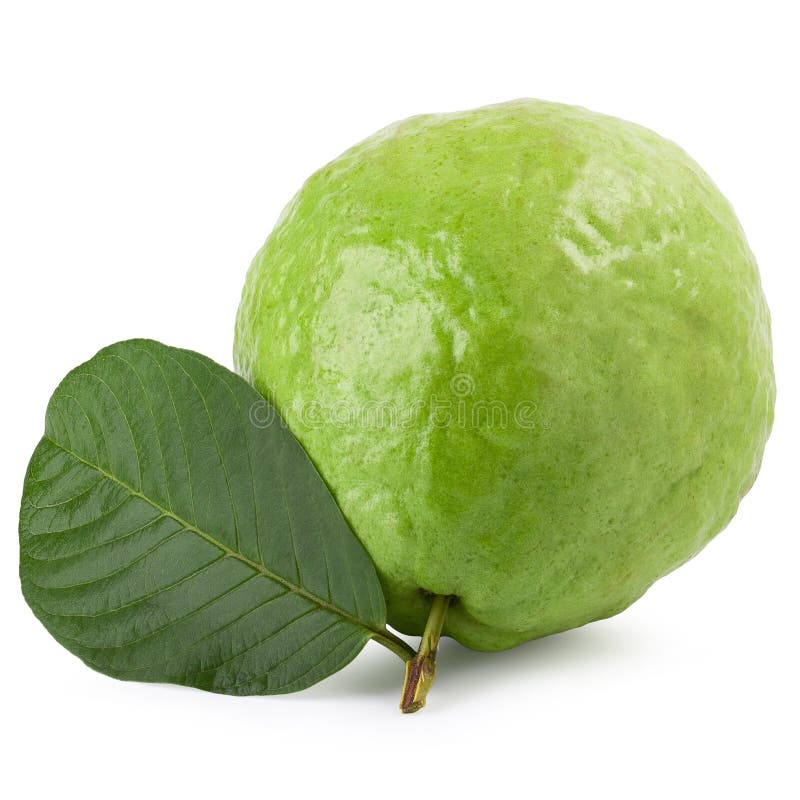 Guava Fruit with Leaves Isolated on the White Background Stock Image ...